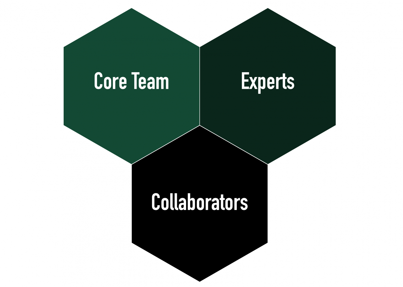 About | Biodiverse Consulting